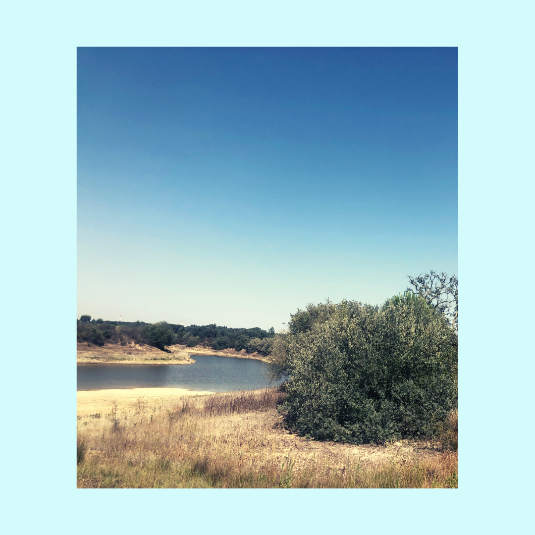 Countryside Villas in the Outskirts of Lisbon - CASAVERO